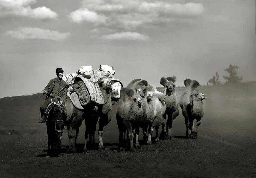 Do you know the three famous population migrations in modern China? - iNEWS