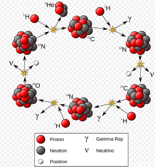 Synthesis of superheavy elements and their unique physical properties ...