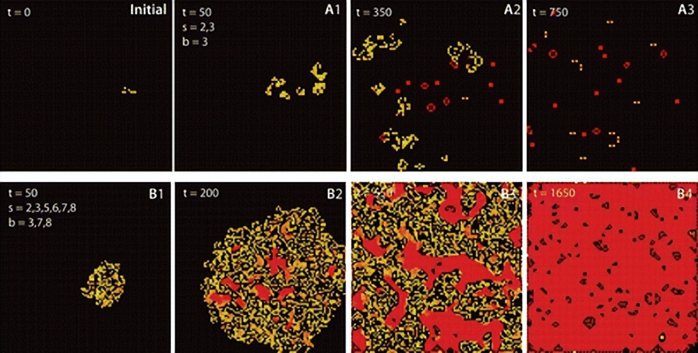 What complexity emerges in the cytoskeleton from single fiber to tissue ...
