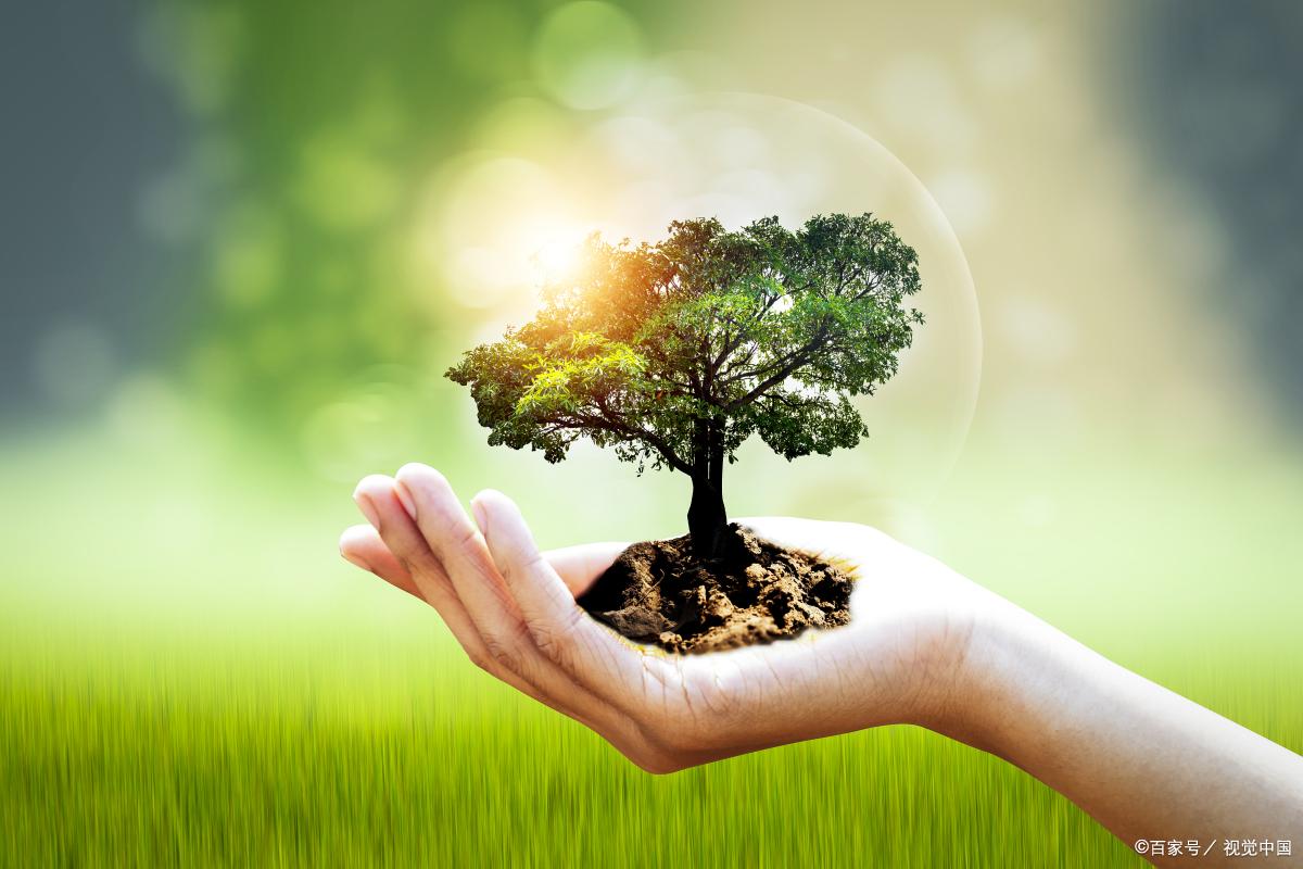 Biodiversity: Why do we need to protect wildlife? - iNEWS