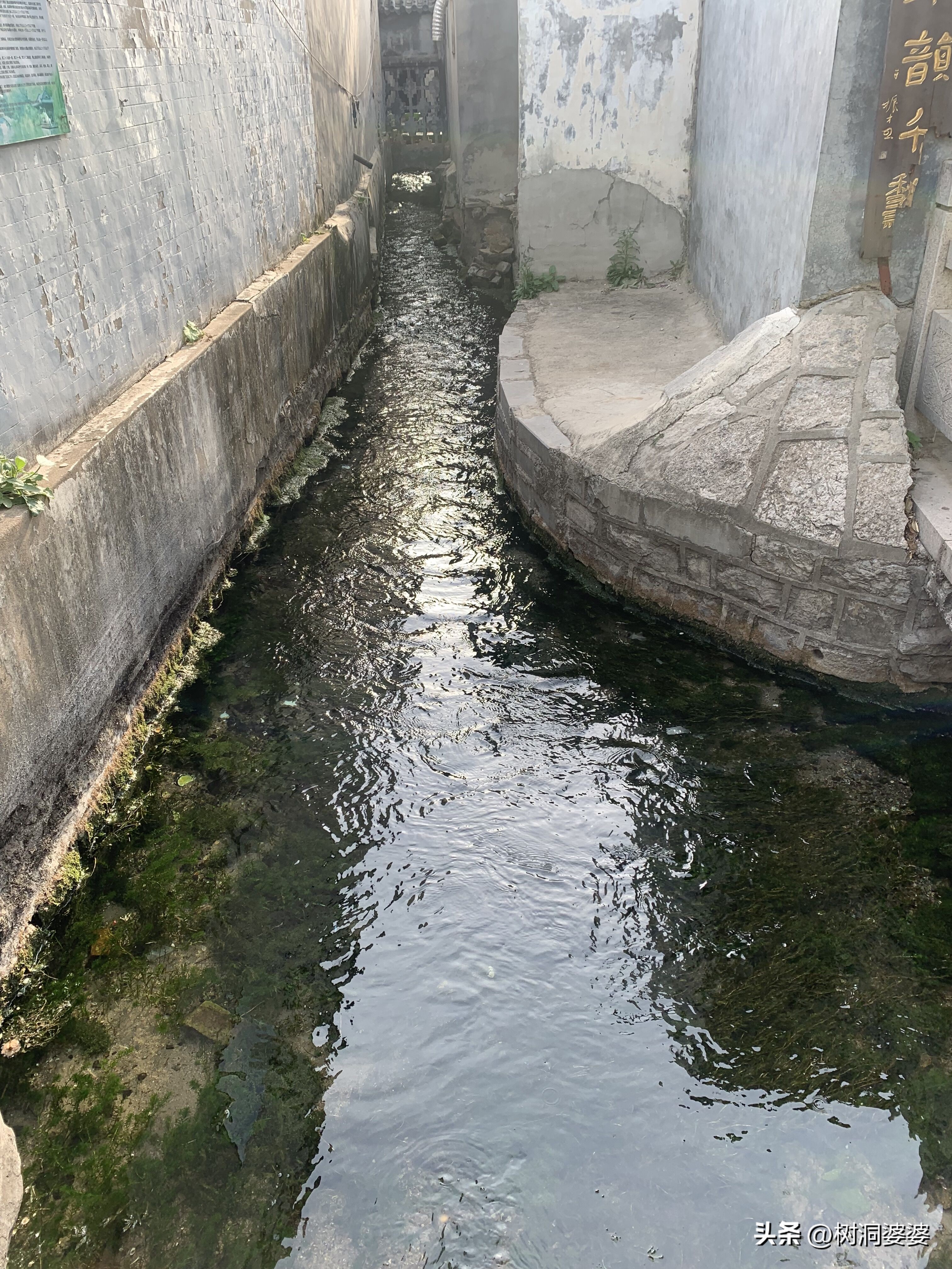 Notes from Jinan: The spring water in Jinan is so magical, the ordinary ...