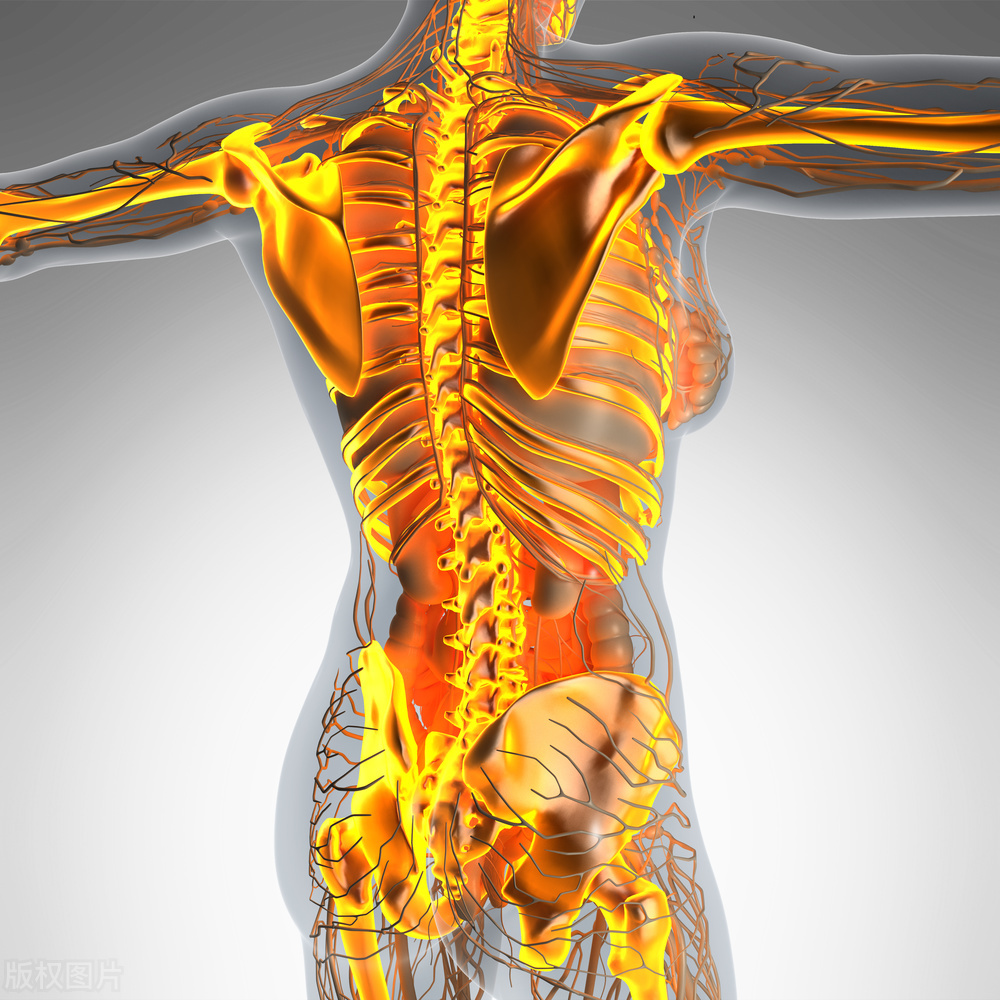 Astrology Introductory Book: [Inner Sky] Interpretation 80 - First ...