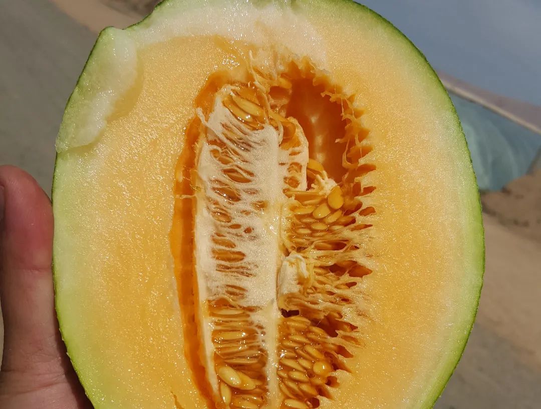 The days of the melon and fruit season in Xinjiang are as sweet as ...