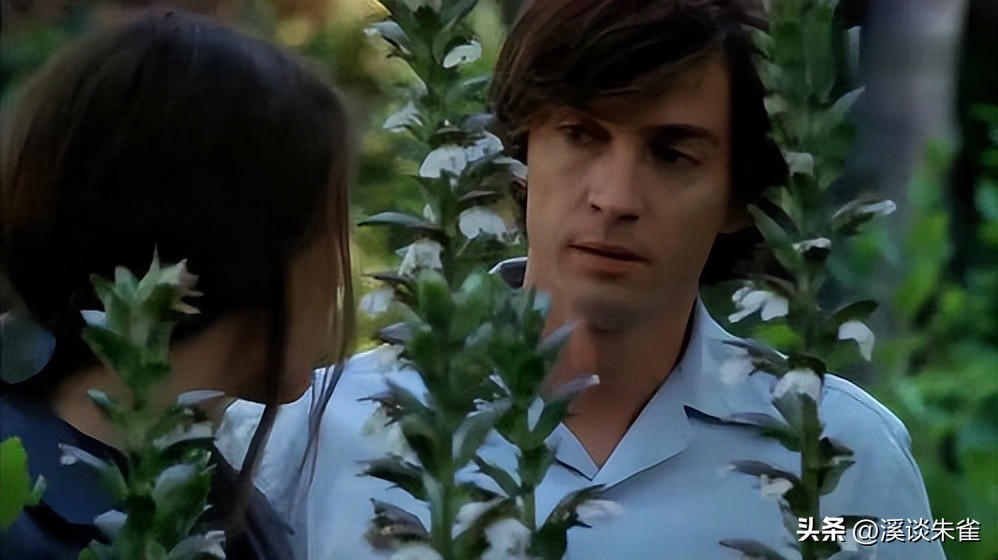 "Splendid Life" movie: the exploration of love and life, the ...