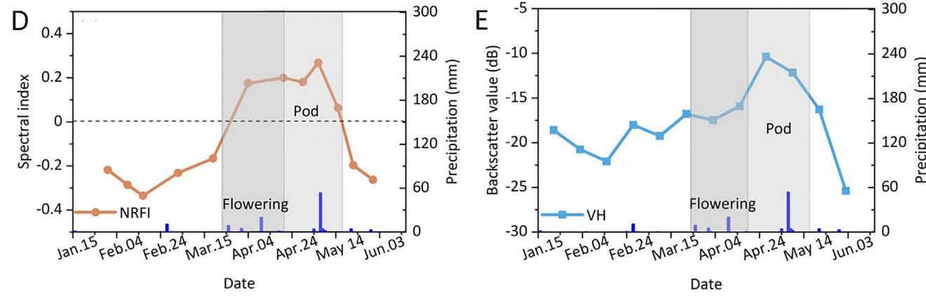 Mapping of canola planting areas in Google Earth Engine using automated algorithms based on ...