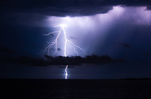 How does the human body generate and use electricity? - iNEWS