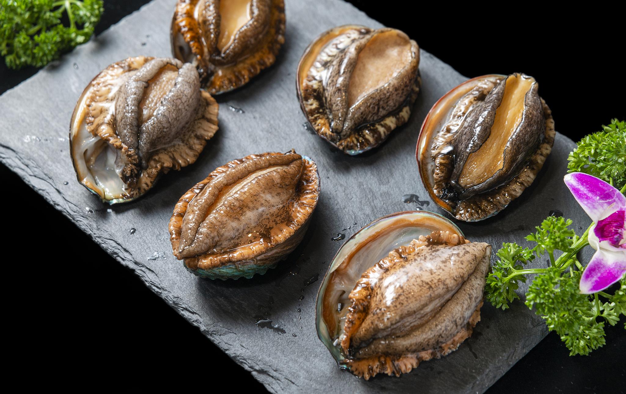 Everyone's favorite abalone has 5 hidden nutritional values, and it is ...