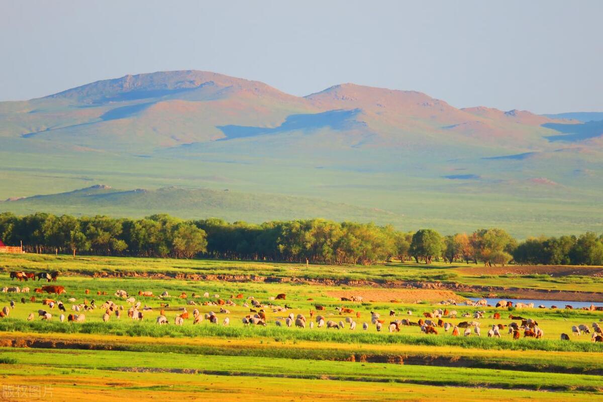 Jurchen and Mongolia: Millenniums of grievances, historical ...