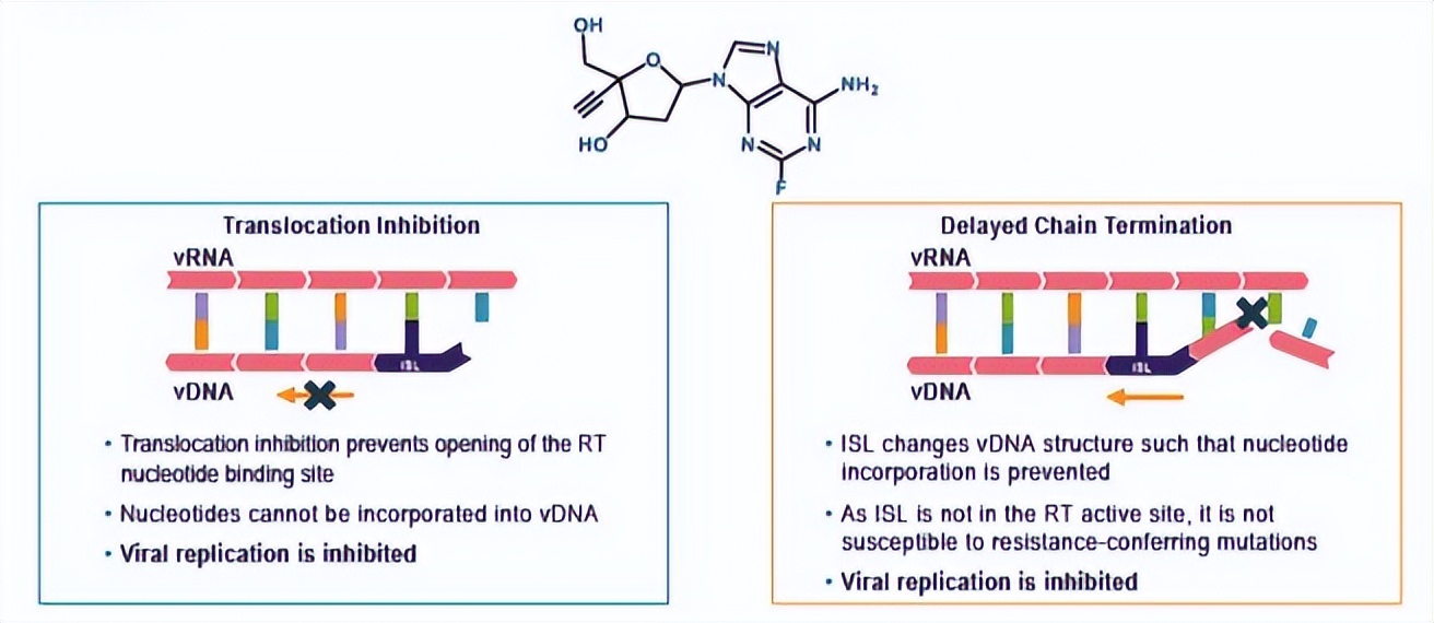 Merck plans to start trial of low-dose Islatravir in combination with ...
