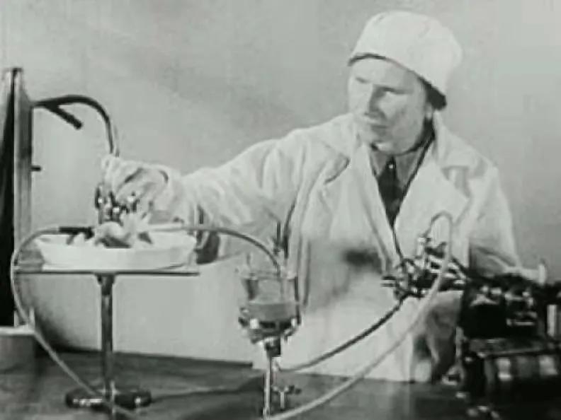 The immortality experiment of the Soviet Union: exploring the unknown ...