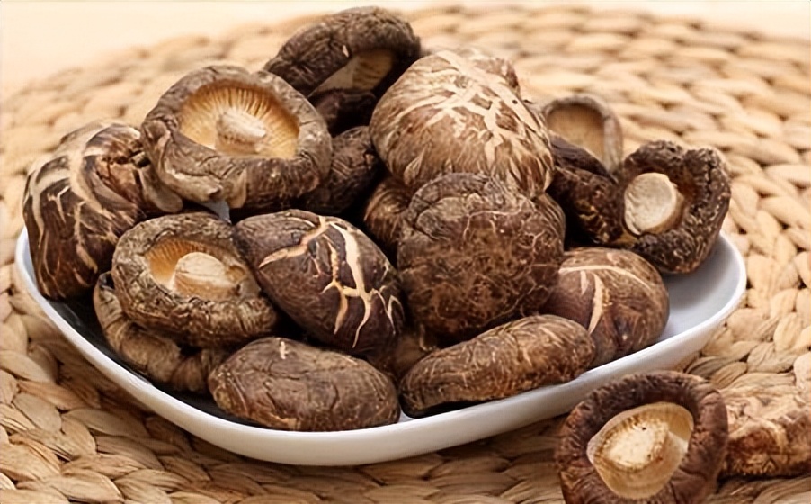 Why Shiitake Mushrooms Are Called "The Queen of Food" (Wuling Shanzhen ...