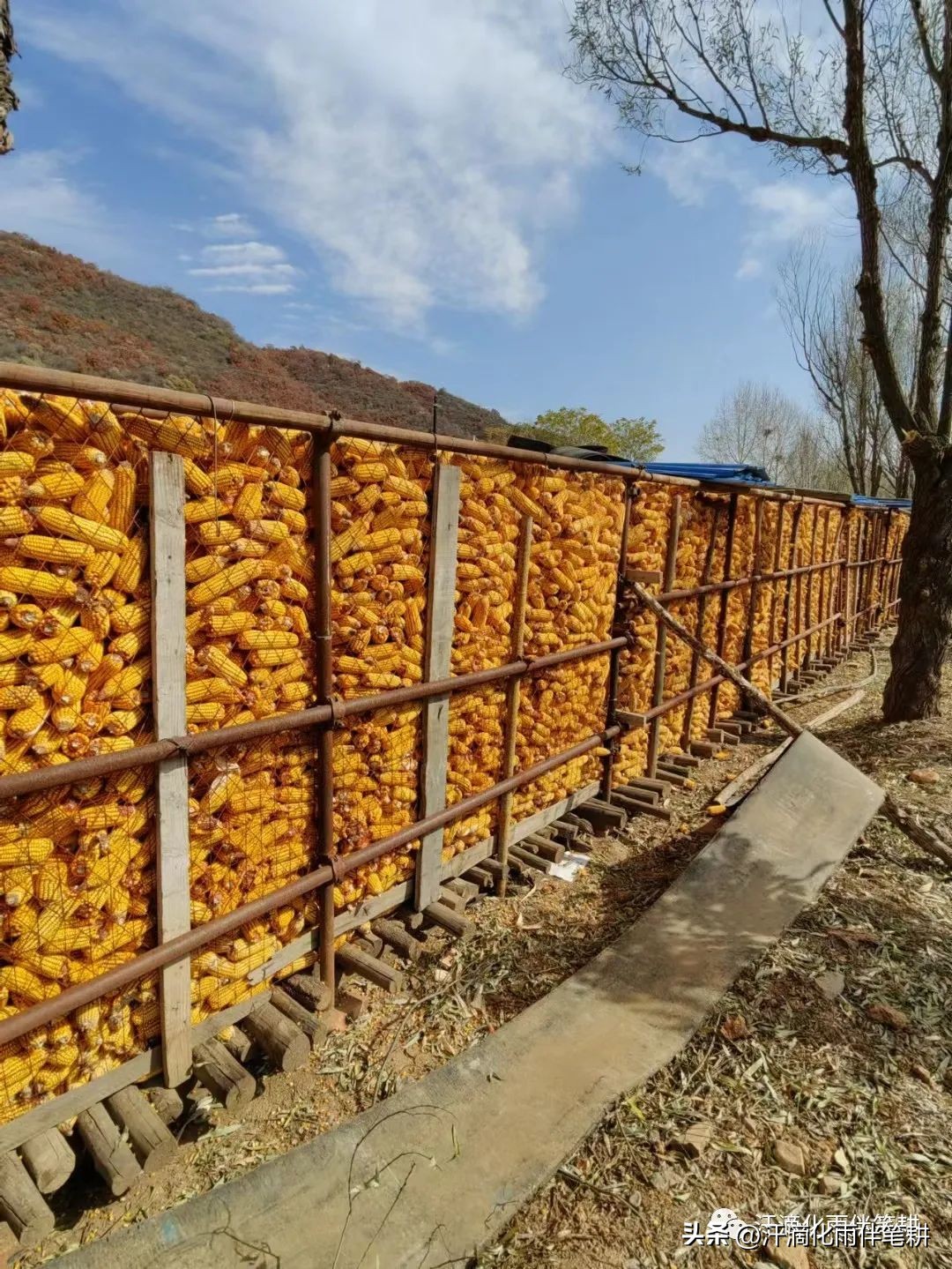 "Shanxi Qinyuan Li Zhilian" original //loneliness - iNEWS