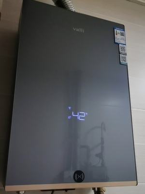 Vantage water heater: gas and electricity double-break, network control ...