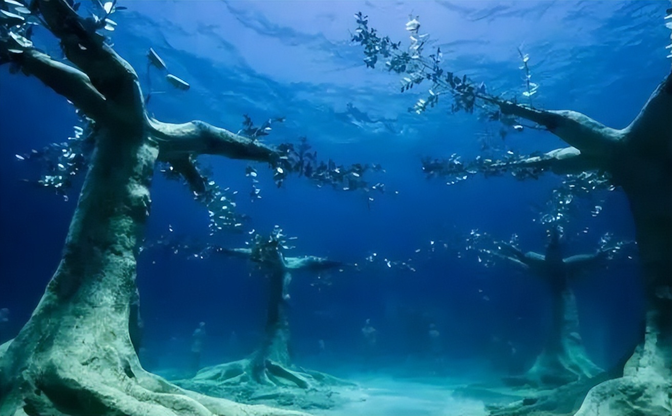 What's the point of exploring ancient underwater forests? - iNEWS