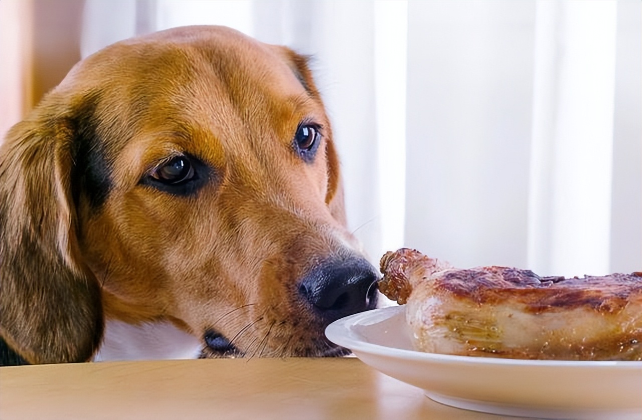 There are three major causes of neuritis in dogs, and many parents have ...