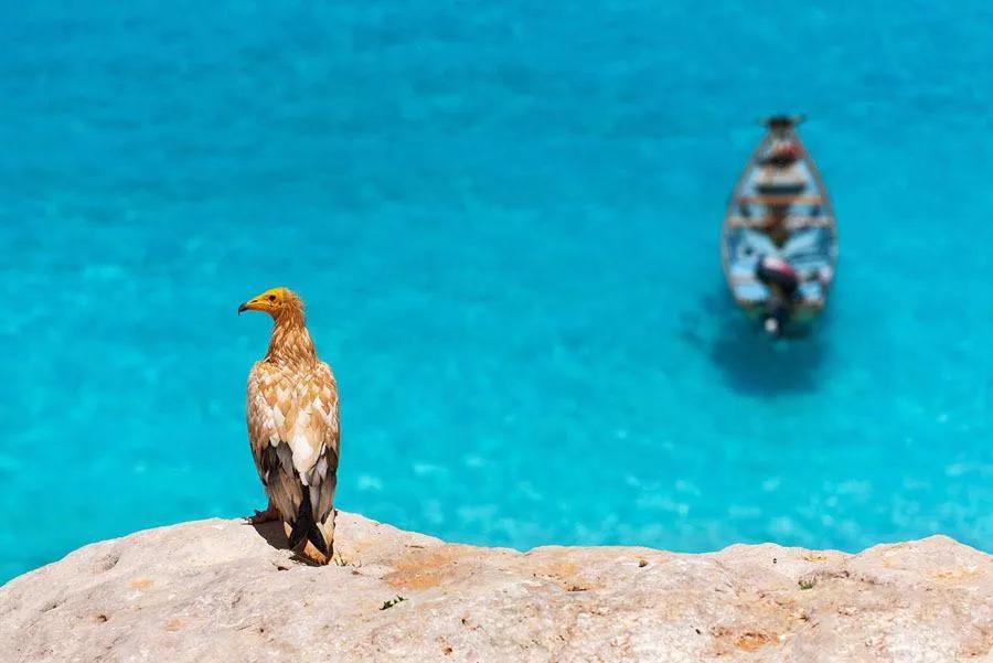 What strange islands are there in the world? They are grotesque and ...