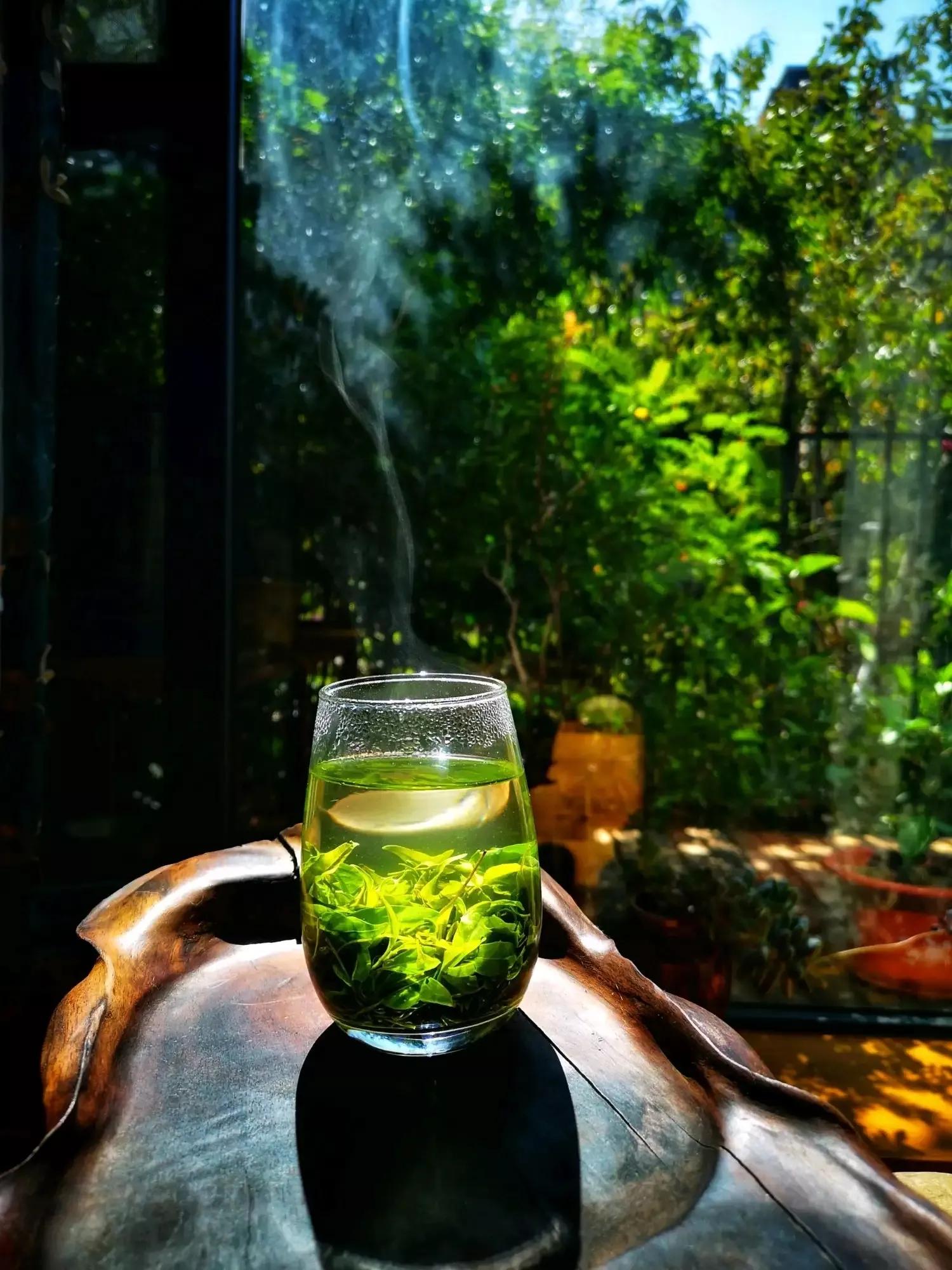 Regular and proper drinking of green tea has 4 major benefits to our ...