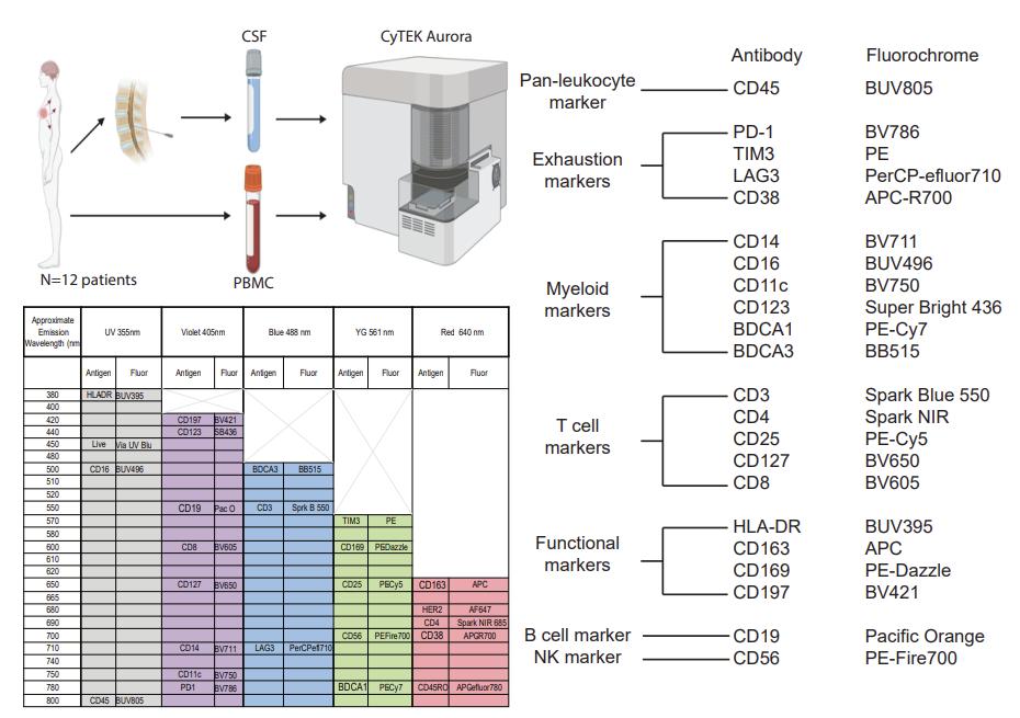 25-color full-spectrum flow cytometry reveals the cerebrospinal fluid/PBMC immune profile of ...