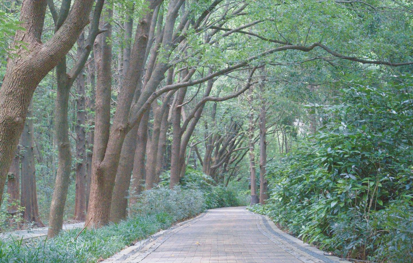 Tongli Wetland Park: Ten reasons worth visiting - iNEWS