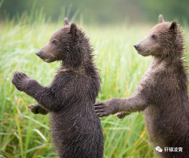 A Brief Introduction to the Learning and Practice of Xiong Xing Ge Jue ...