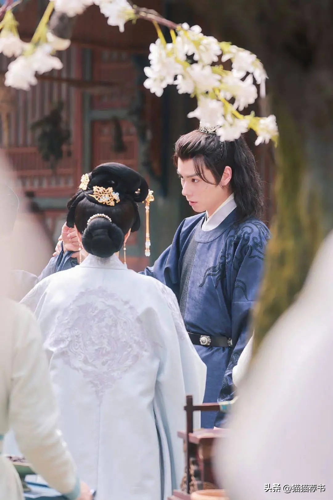 Zhang Jingyi's "Xihua Zhi" rice shot exposed by Reuters, Hawthorn girl ...