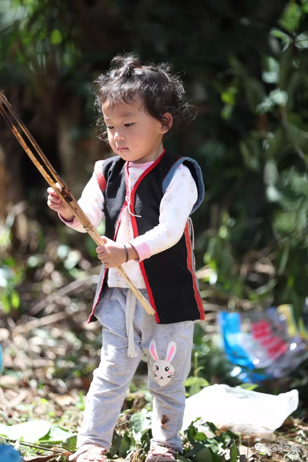 The biggest energy in "Yunhai Chawen" tea is temperature - iNEWS