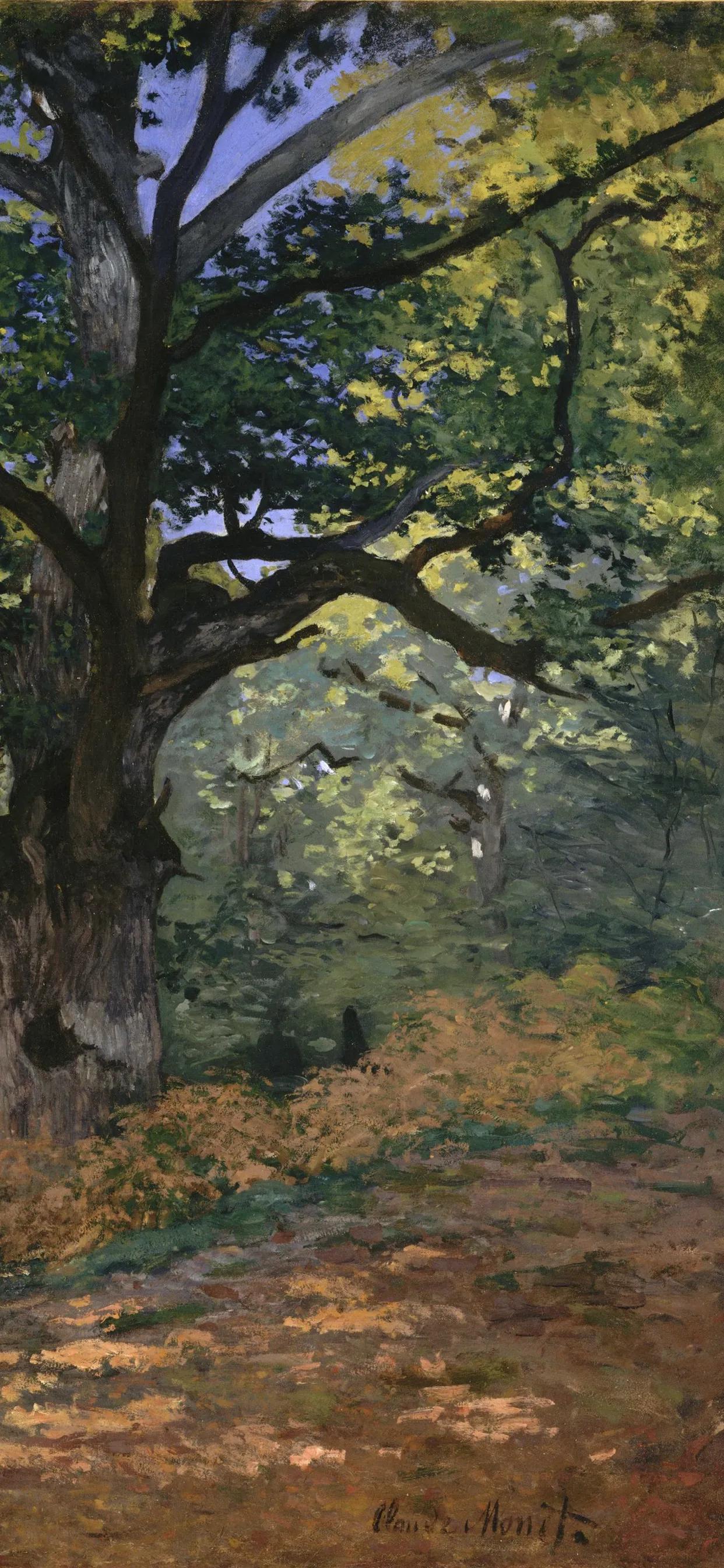 Monet's painting "The Forest of Fontainebleau" - iNEWS