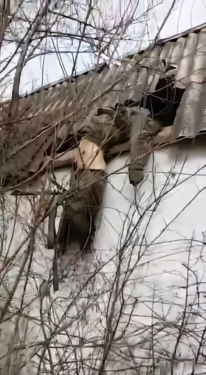 With a loud bang, the goose armored vehicle exploded violently, and ...
