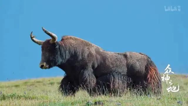 Man and nature coexist in harmony, every frame is beautiful - iNEWS
