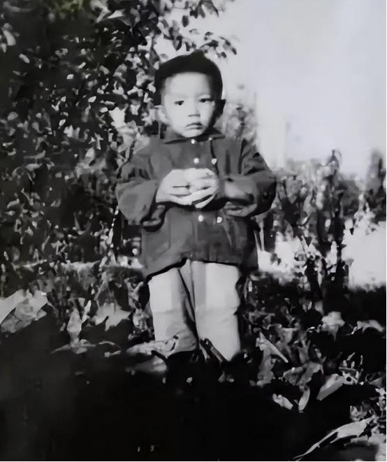 "Three Material Movie King" Duan Yihong: I owe too much to my father in ...