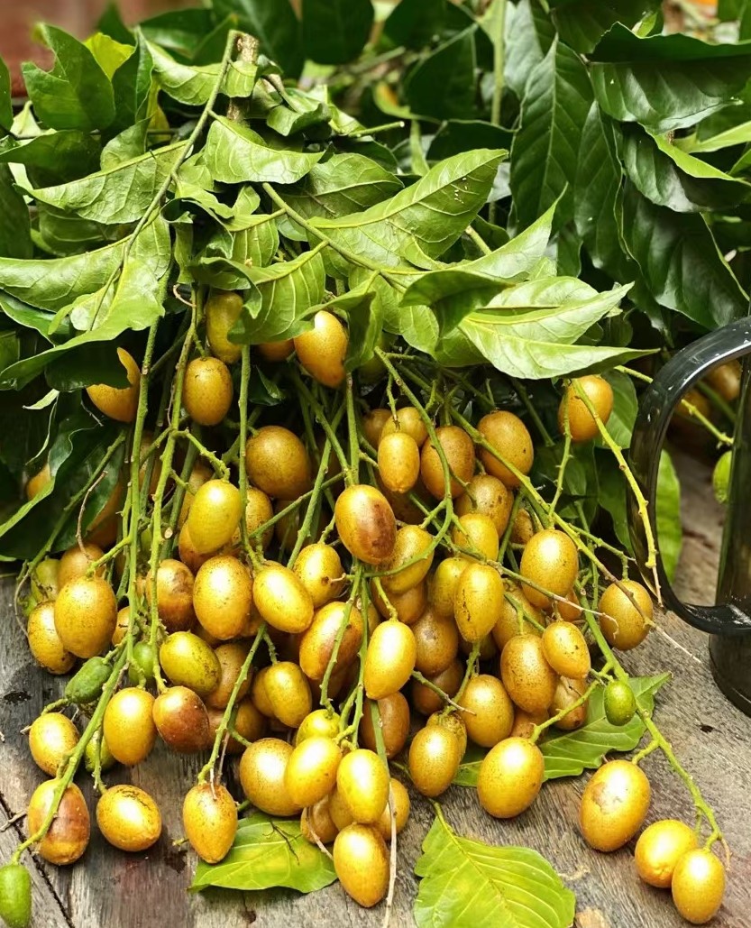 The golden yellow skin is just in time - iNEWS