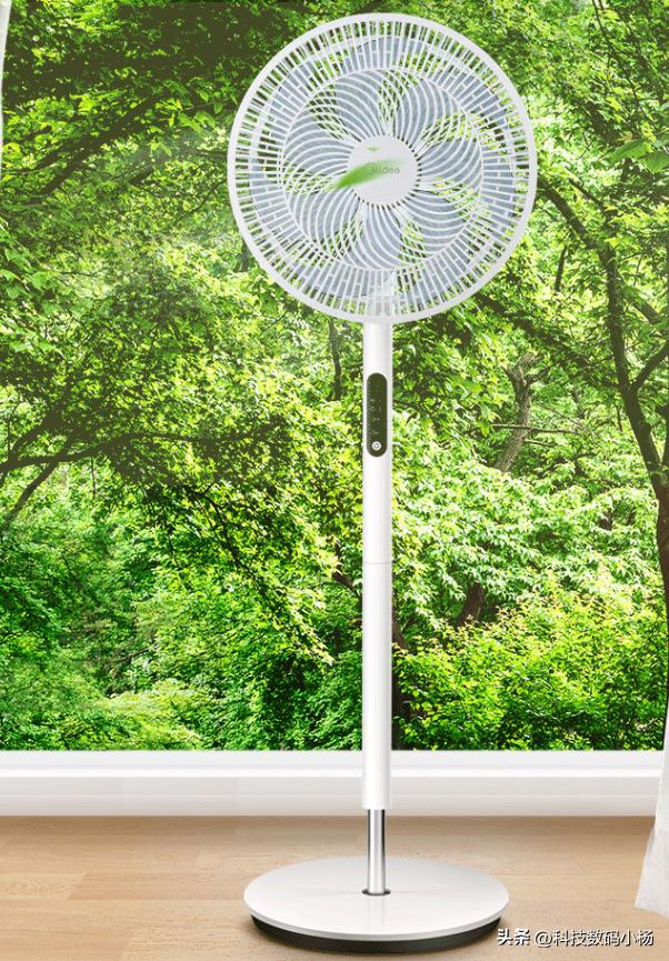 How much electricity does an electric fan charge per hour? - iNEWS