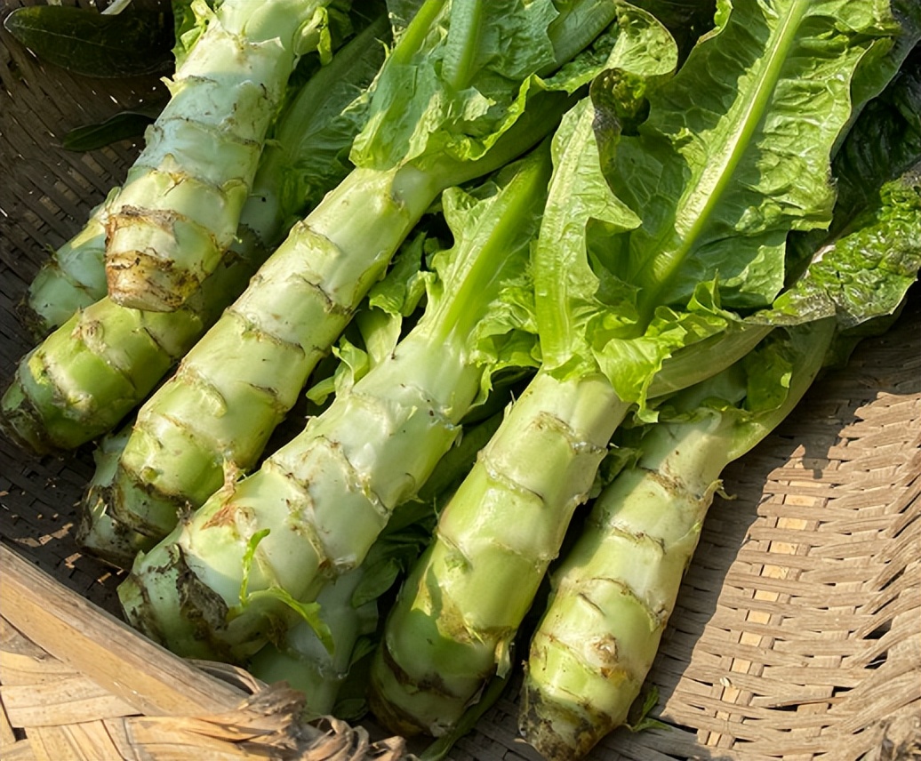 Eat more of these 3 "champion vegetables" in spring to strengthen your ...