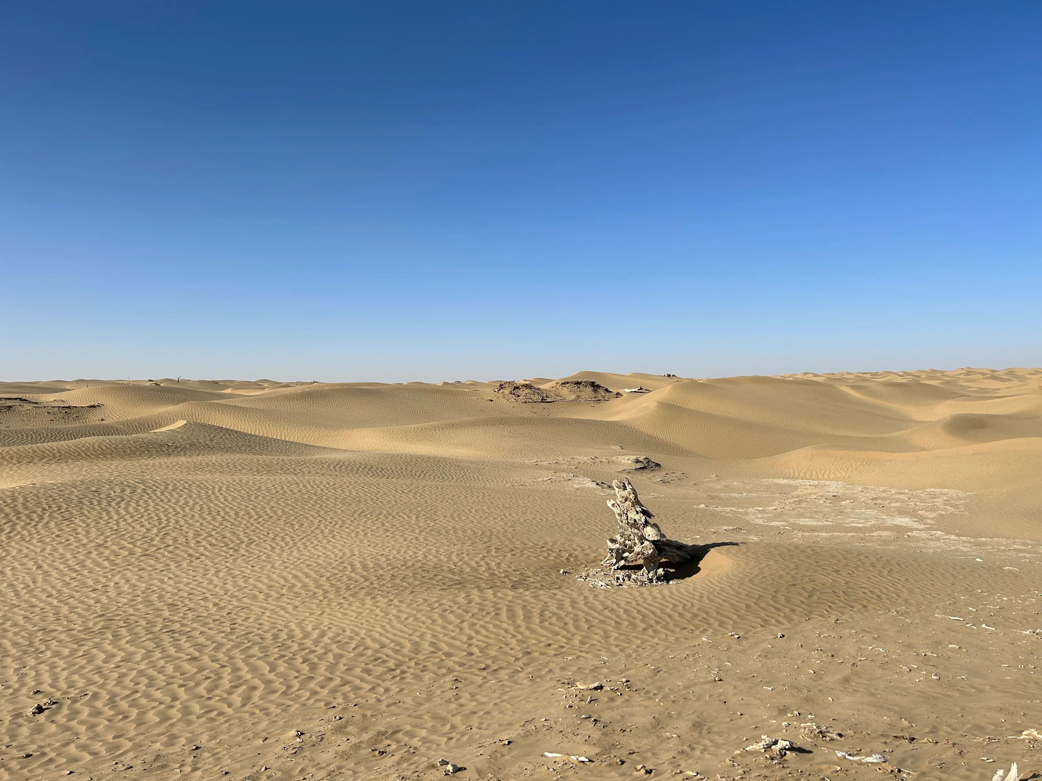 Some sharing about trekking through the Taklamakan Desert - iMedia