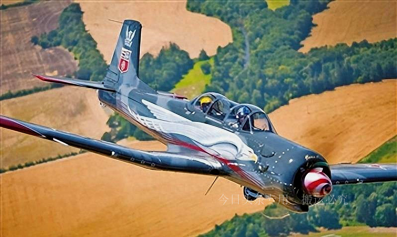 Why is Chujiao-6 developed by 72 Days sold overseas? American pilot ...