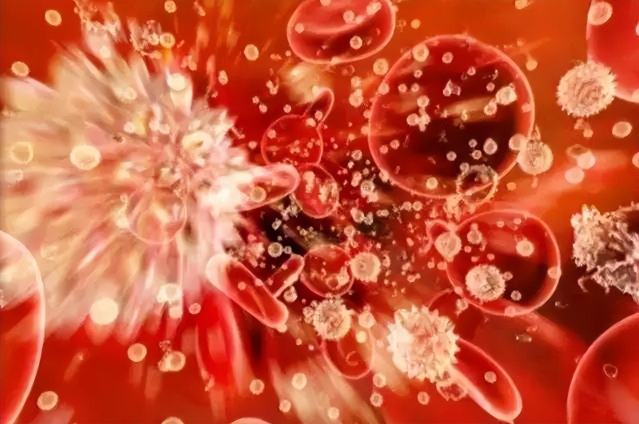 First understanding of blood purification - iNEWS