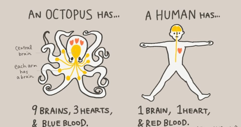 Maybe there are octopus-like alien creatures in Europa's ocean?British ...