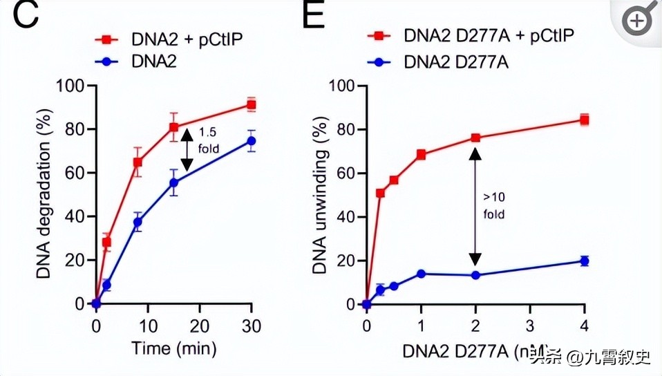 CtIP promotes the motor activity of DNA2 and accelerates long-distance ...