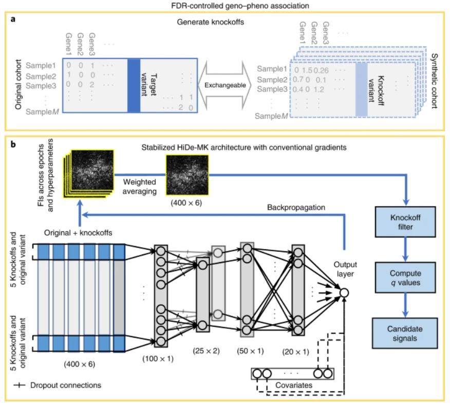 Deep neural networks with controlled variable selection for high-precision identification of ...
