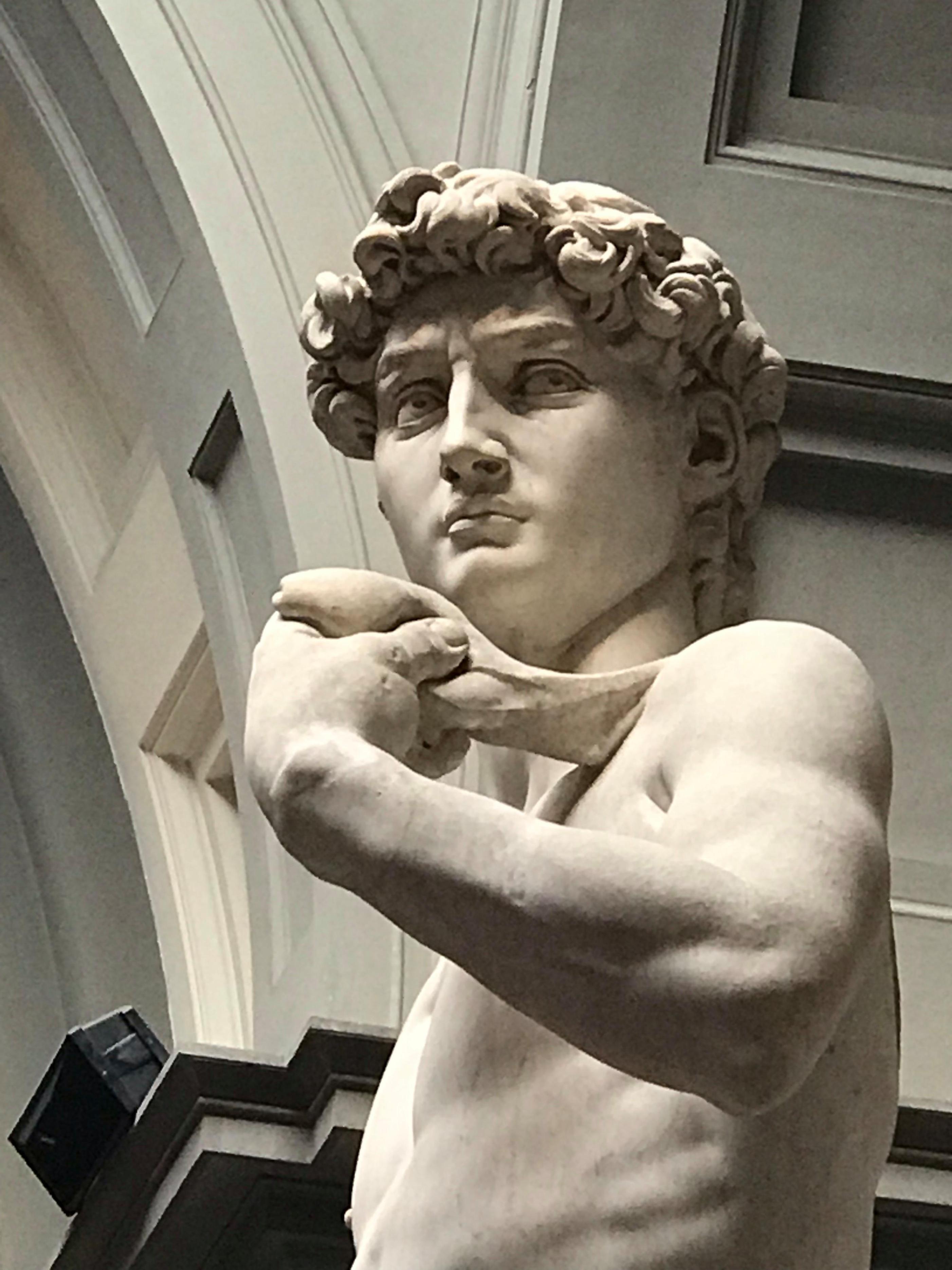 As a representative figure of Renaissance art, Michelangelo contributed ...