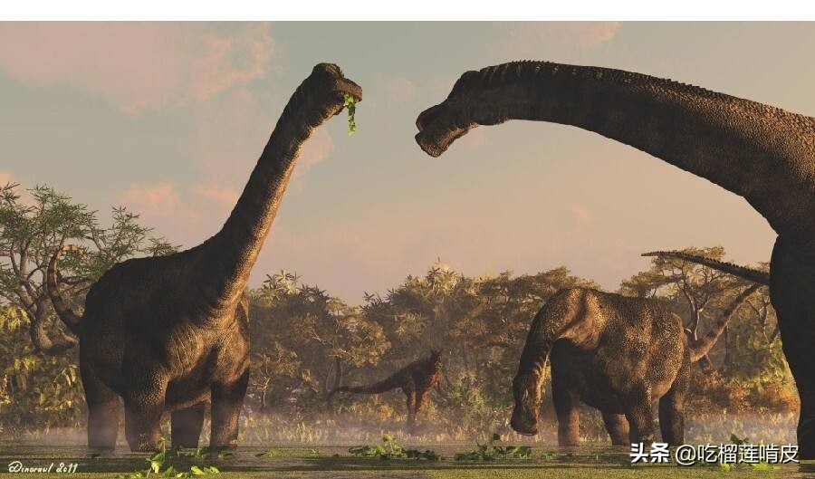 Adamantisaurus (scientific name: Adamantisaurus) - iNEWS