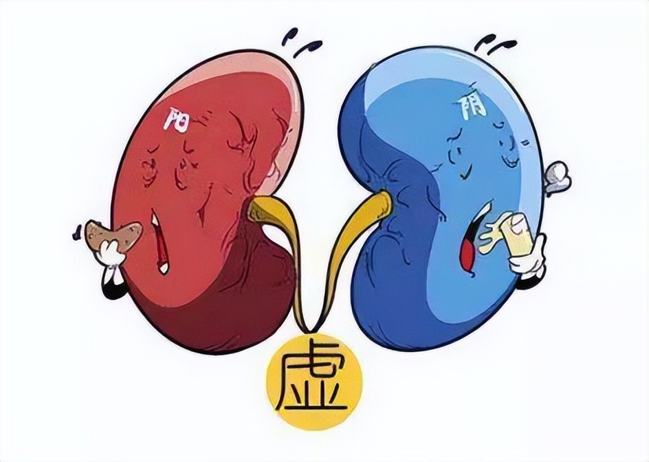 Diabetes may be caused by "deficiency of kidney yang". Zhongjing's ...