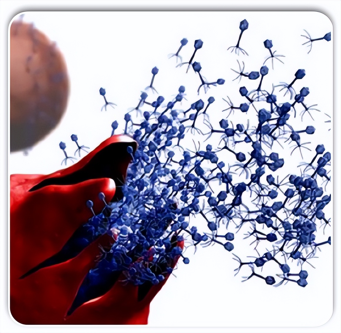 All creatures on earth have natural enemies to fight each other. Why ...