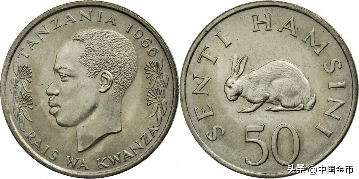 Coin View Rabbit Family (Part 2) - iNEWS