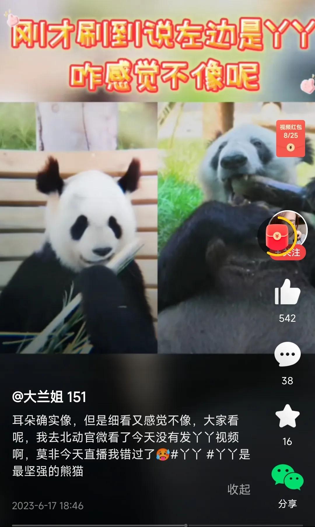 Yaya has only returned to China for more than a month, and her mental ...