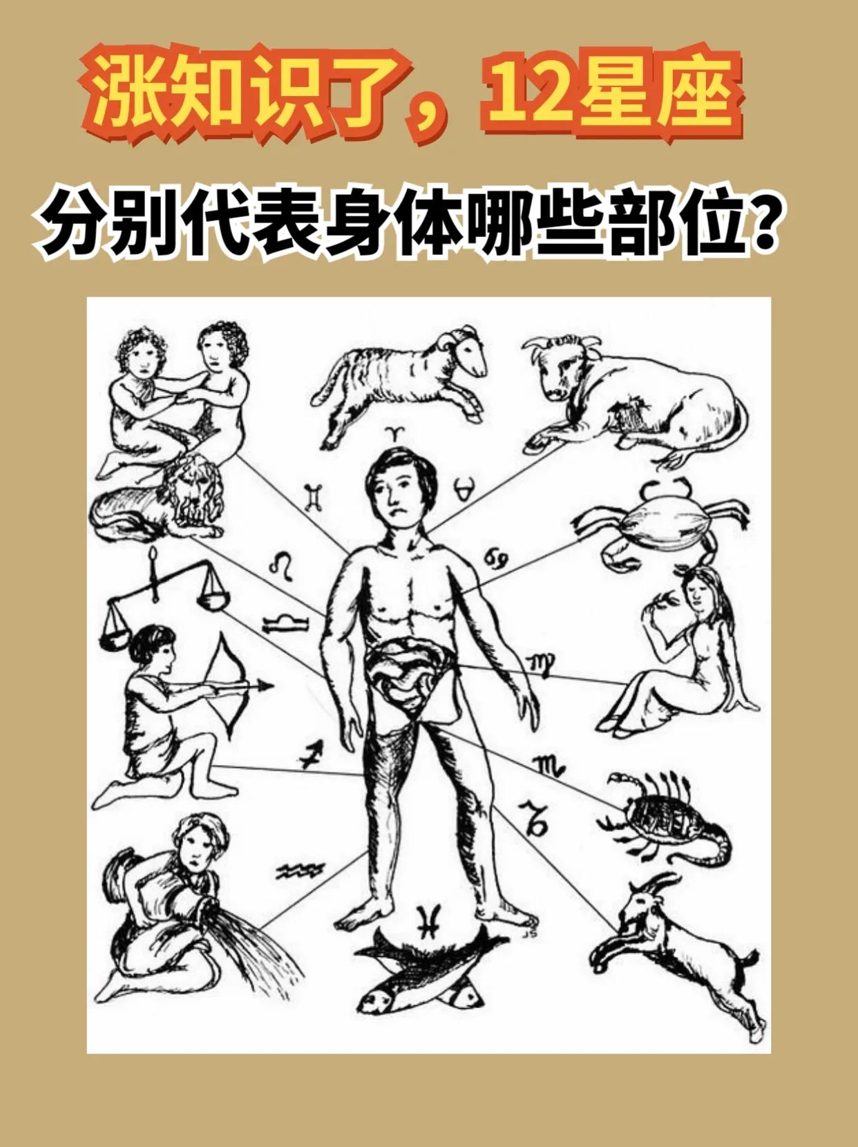 Gain knowledge!The original 12 constellations represent these parts of ...