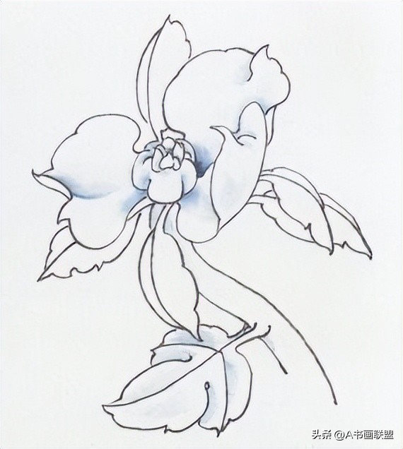 Chinese painting peony large calyx, compound calyx, top stem and leaf ...