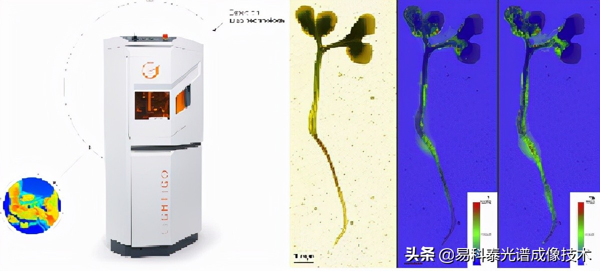 FireFly LIBS Elemental Distribution Imaging Rapid Analysis System - iNEWS