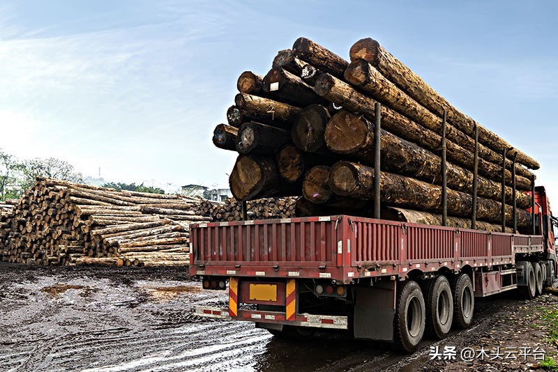 African timber shipments are being upgraded, timber prices expected to ...