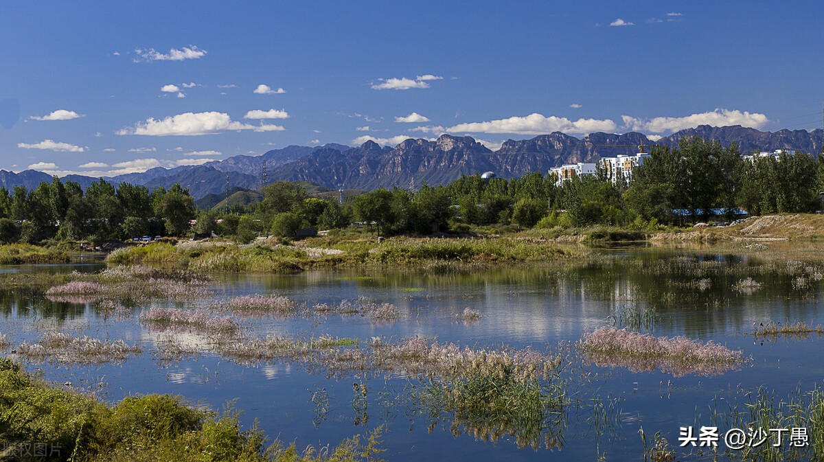 How Qin Wang Yingzheng wiped out the six countries in ten years - iNEWS